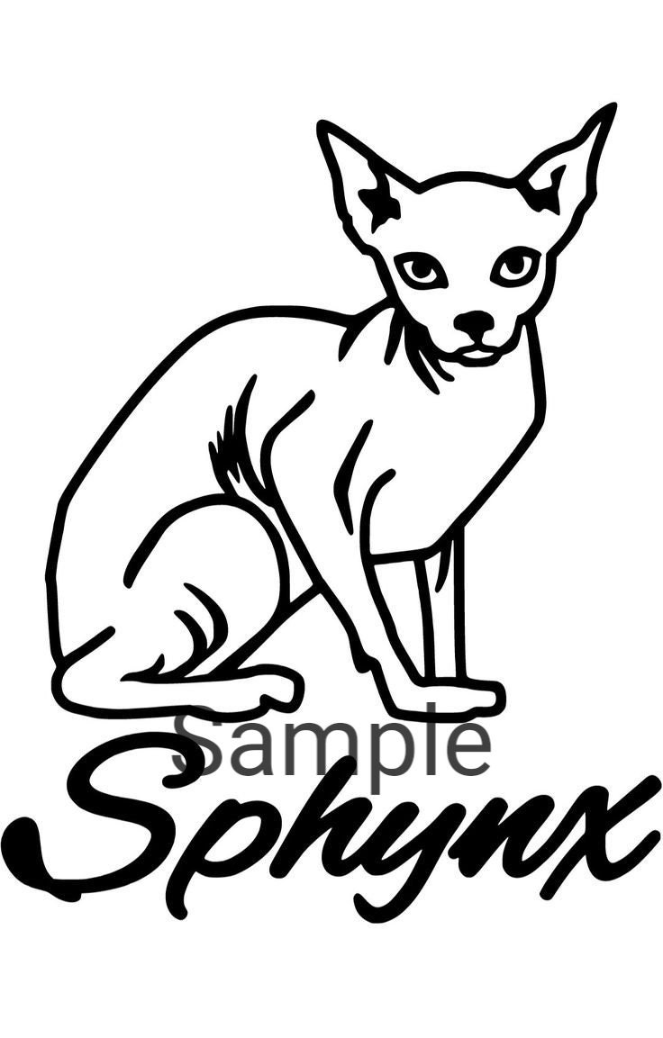Sphynx Cat Svg, Jpg, Dxf and Png - Etsy