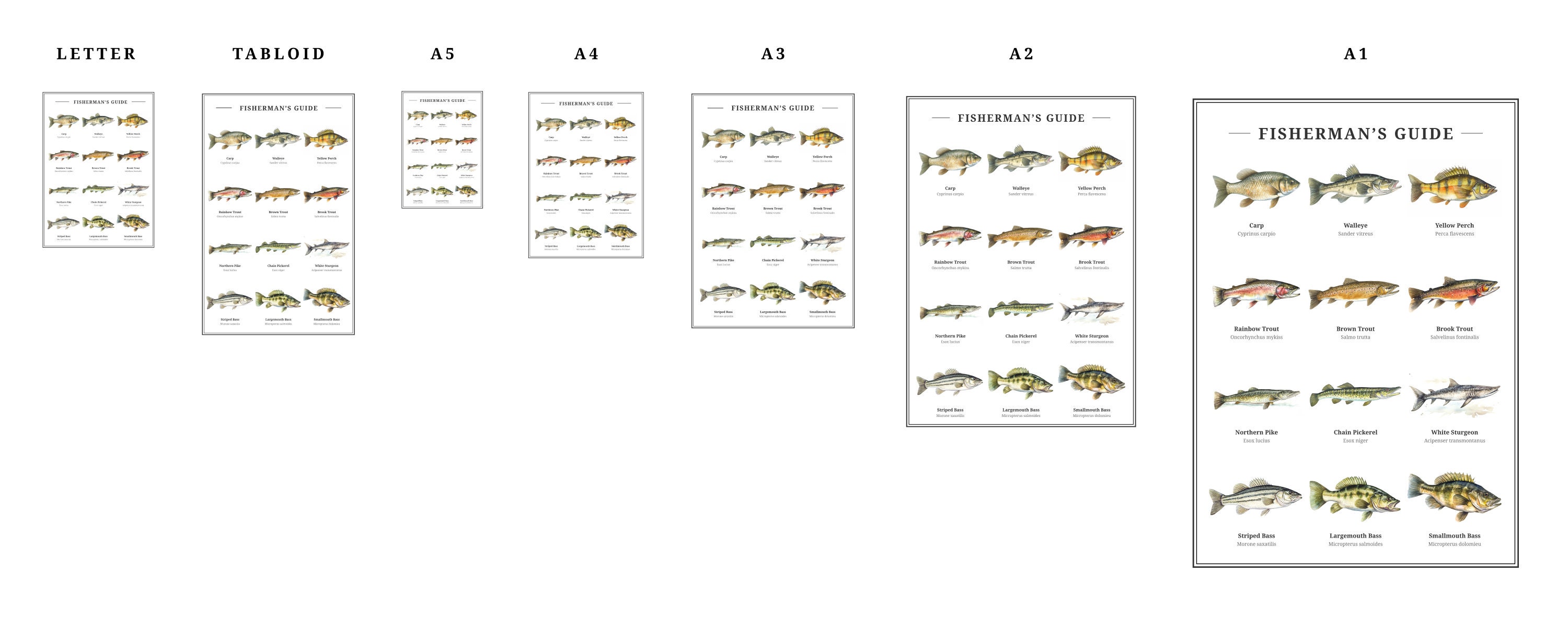 A Colorful Guide to Popular Fish Species Digital Print for Anglers and ...