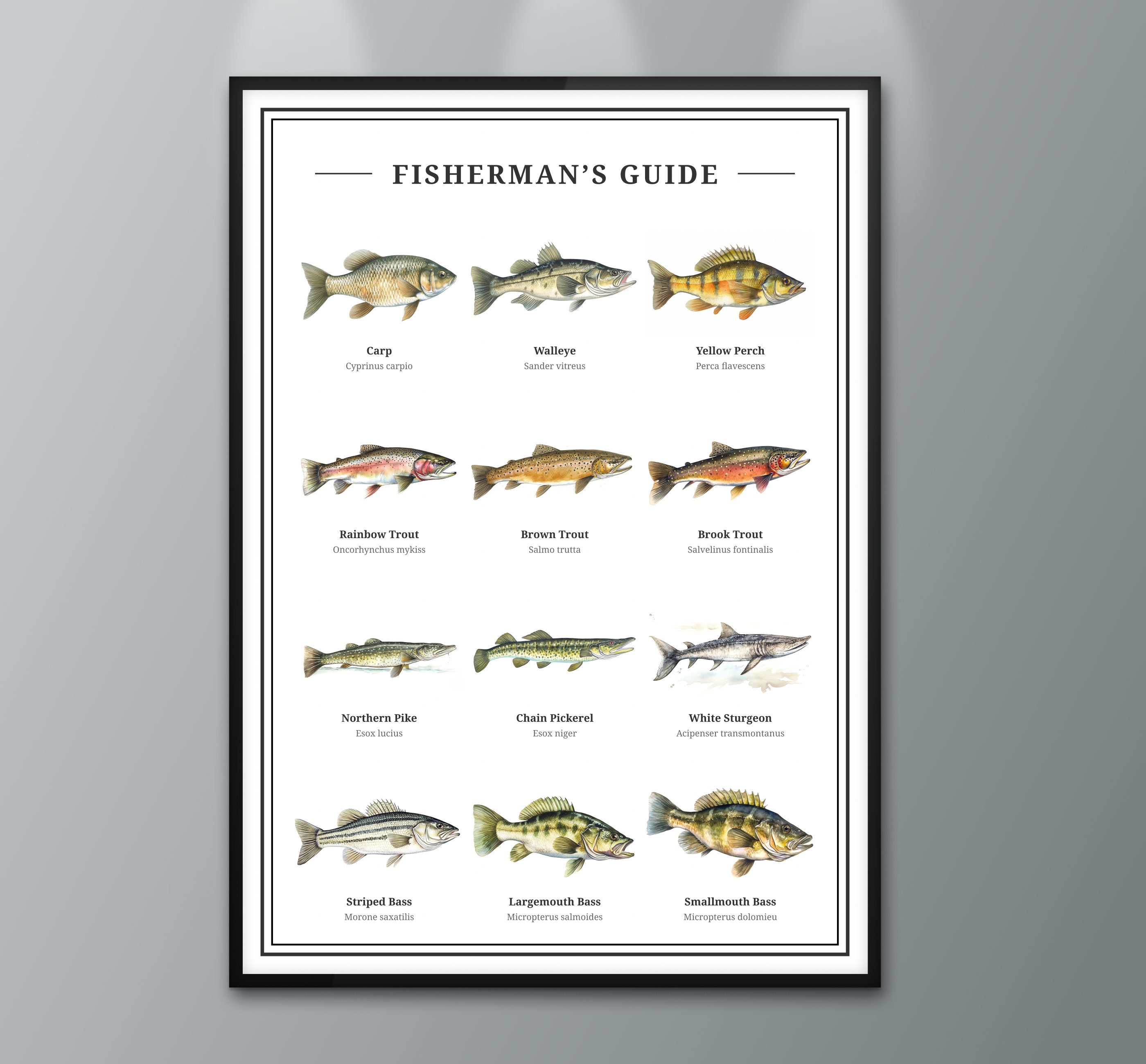 A Colorful Guide to Popular Fish Species Digital Print for Anglers and ...