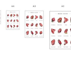 Beef Cuts Steaks Guide, Digital Print, Vintage Butchery Illustrations ...