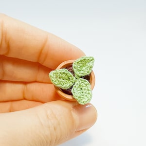 Crochet Succulent Plant Crochet Pattern. Potted Plant Crochet Pattern ...