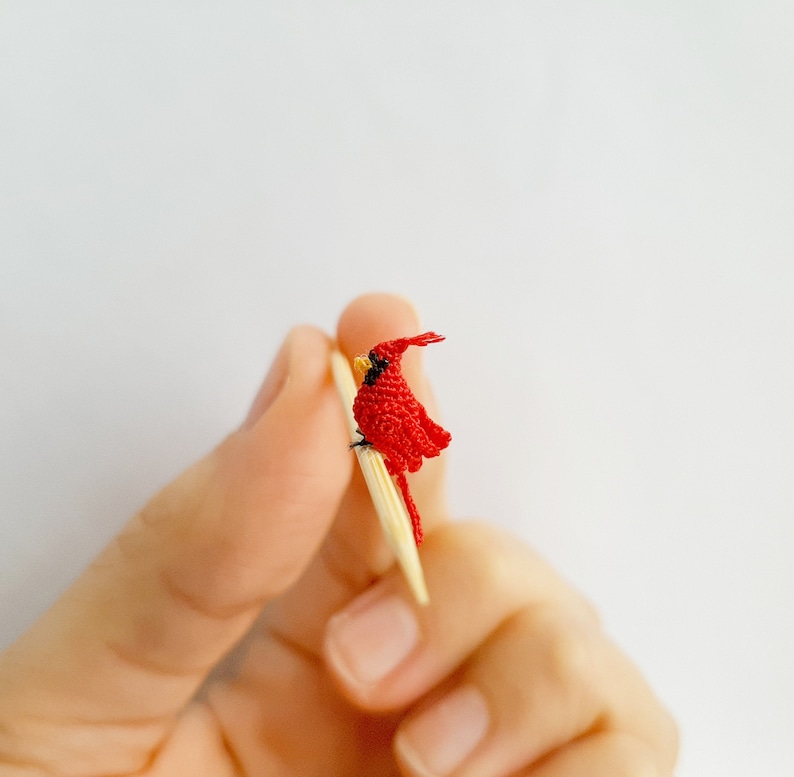 Cardinal Bird Crochet Pattern. Cardinal Photo Tutorial. Crochet ...