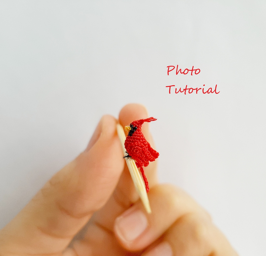 Cardinal Bird Crochet Pattern. Cardinal Photo Tutorial. Crochet ...