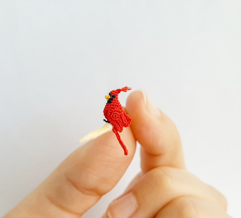 Cardinal Bird Crochet Pattern. Cardinal Photo Tutorial. Crochet ...