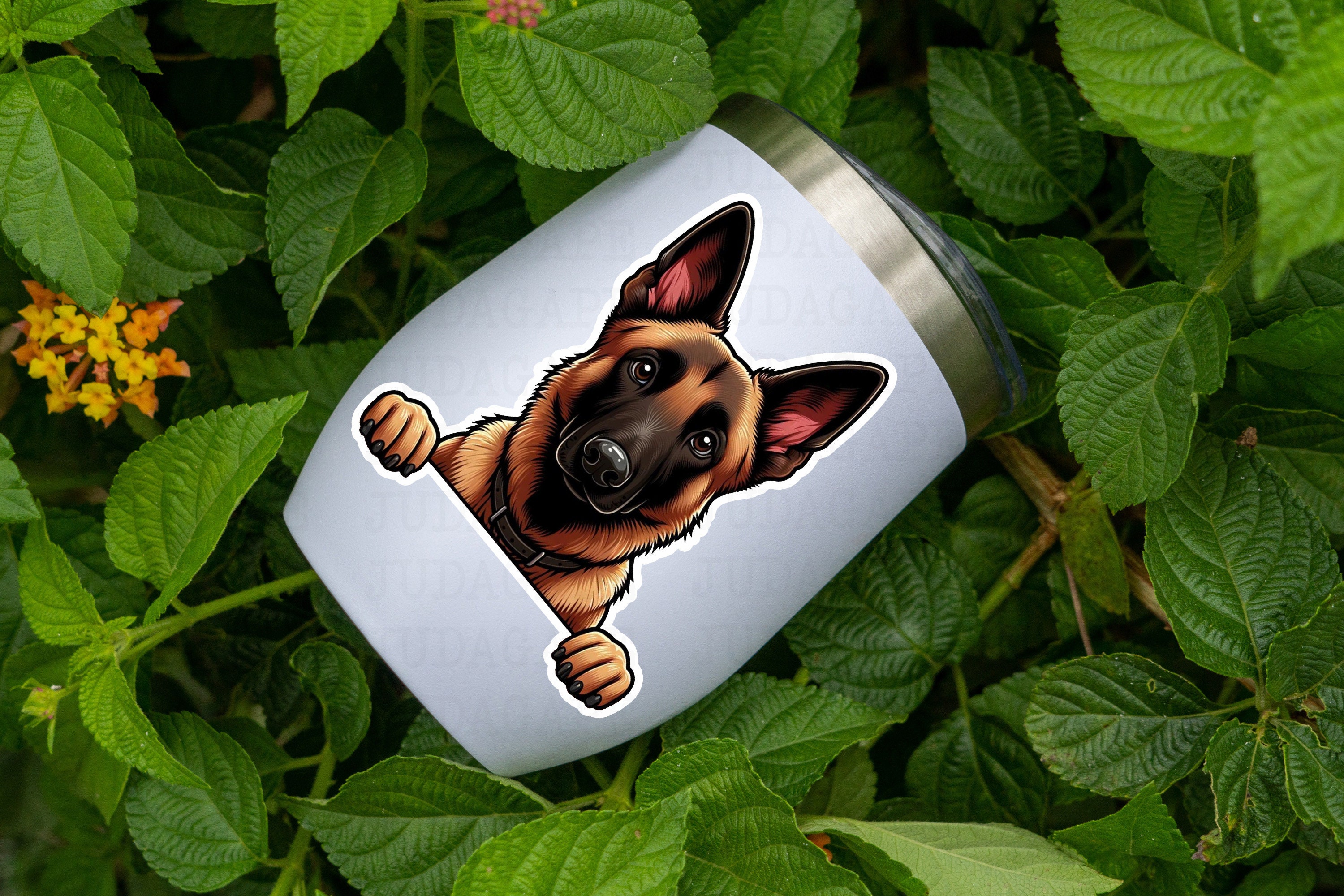 Adorable Peeking Belgian Malinois Decal Sticker – Ideal for Dog Lovers ...