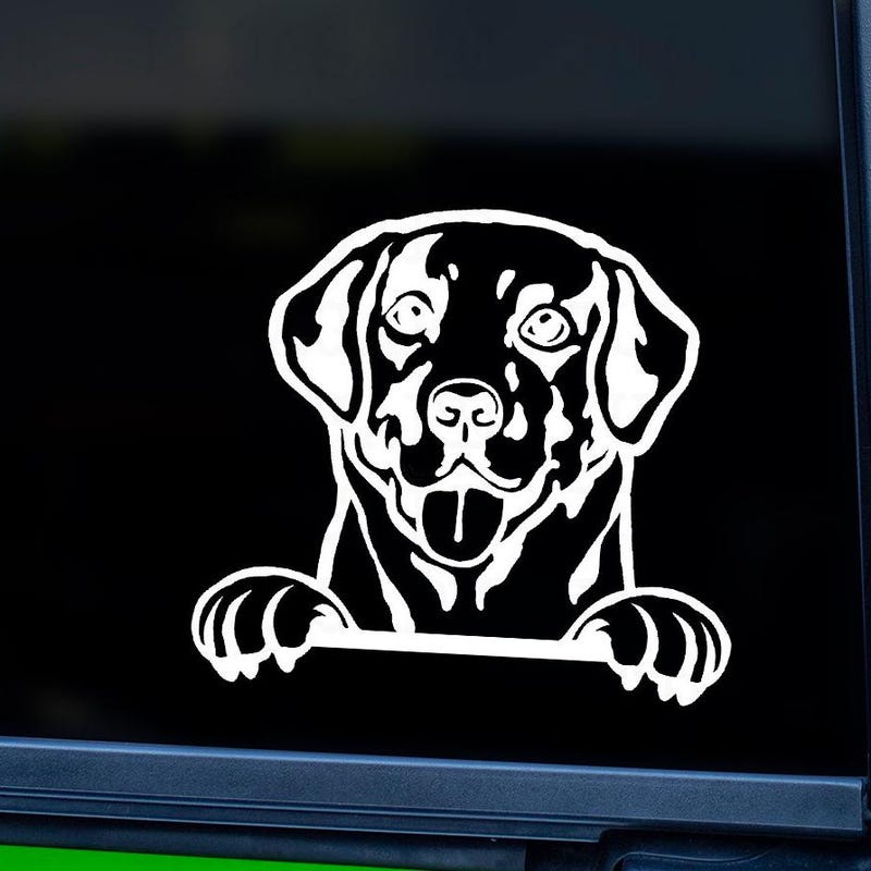 Peeking Lab Svg - Etsy