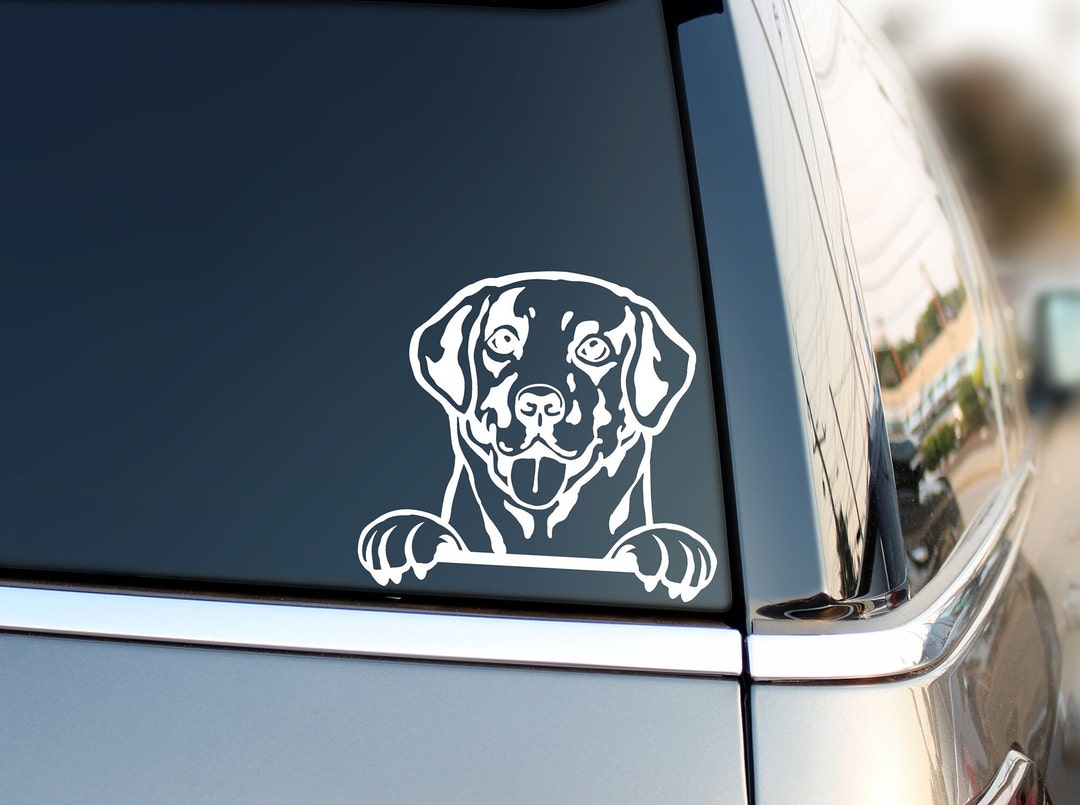Peeking Labrador Dog Vinyl Decal Sticker, Car Decal, Truck Decal ...