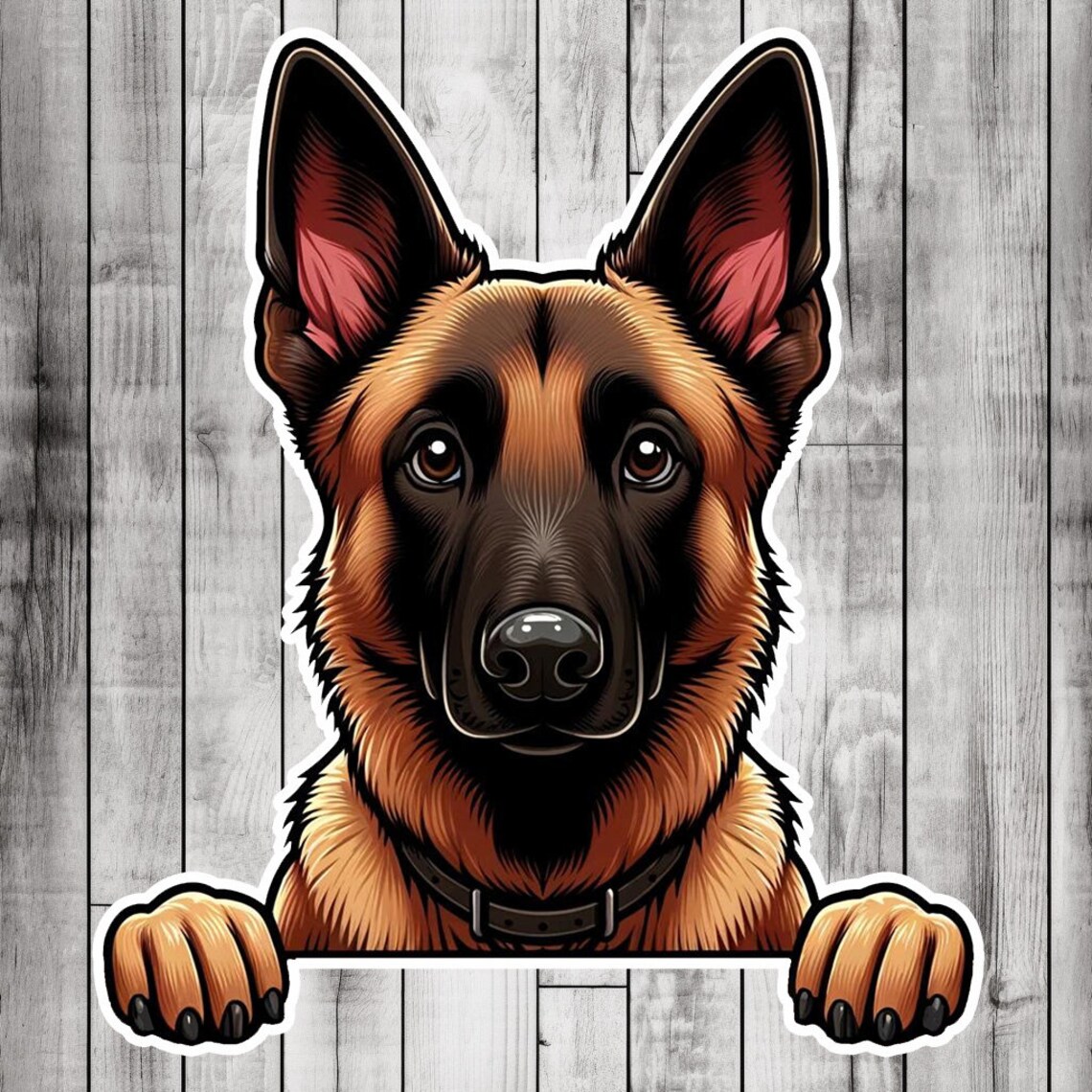 Adorable Peeking Belgian Malinois Decal Sticker – Ideal for Dog Lovers ...