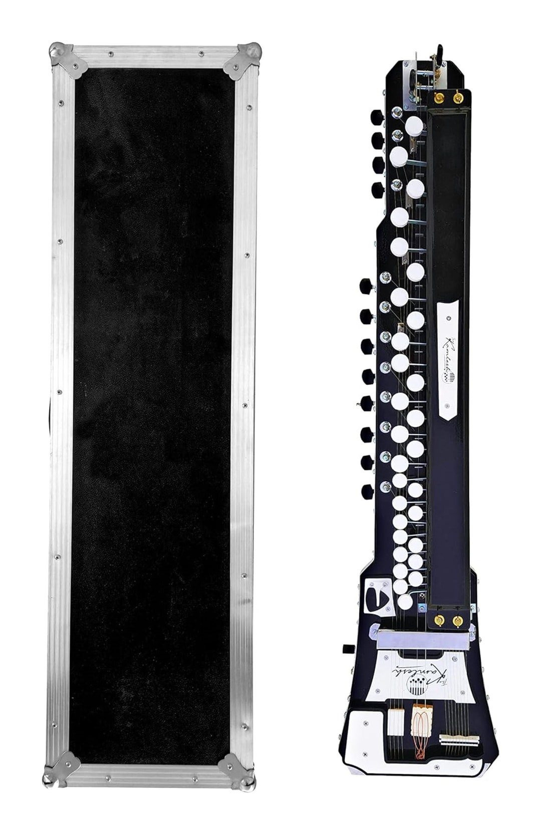 Complete Indian Banjo bulbul Tarang Set: 29 Keys 14 Strings Royal Blue ...