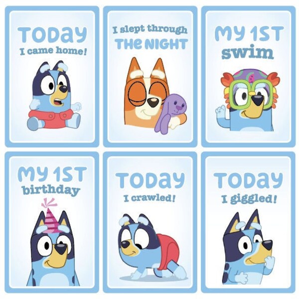 Bluey Baby Announcement - Etsy