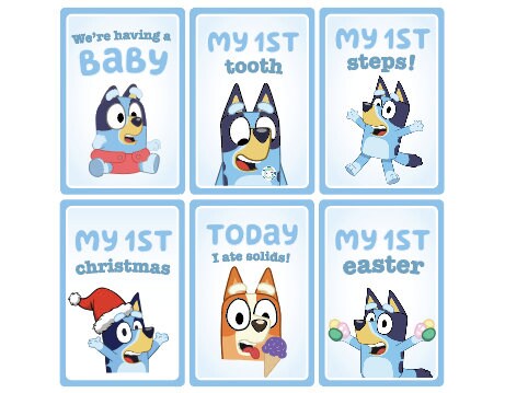 Bluey Baby Milestone Cards | Instant Download - Etsy