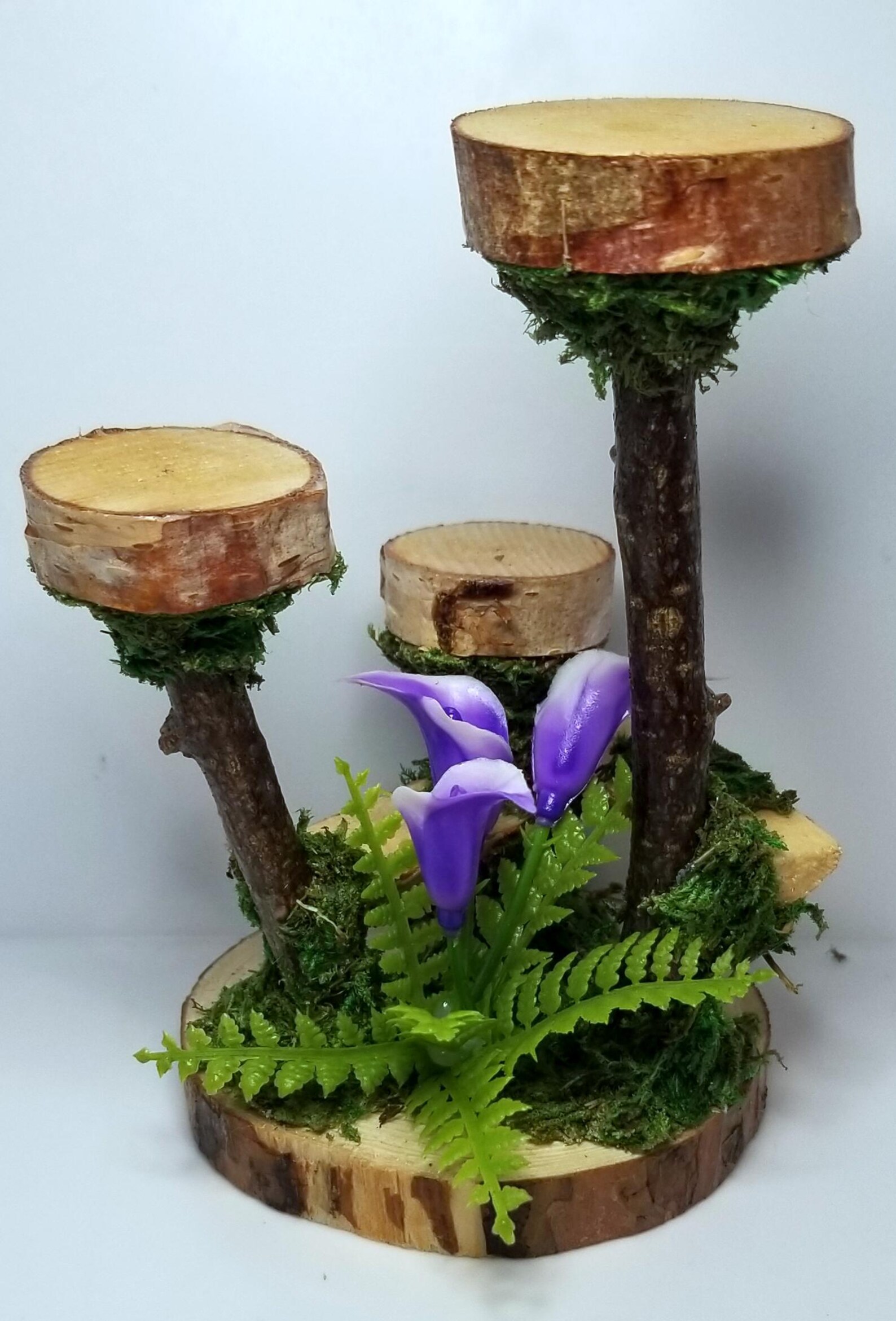 Jumping Spider Enclosure Decor - Etsy