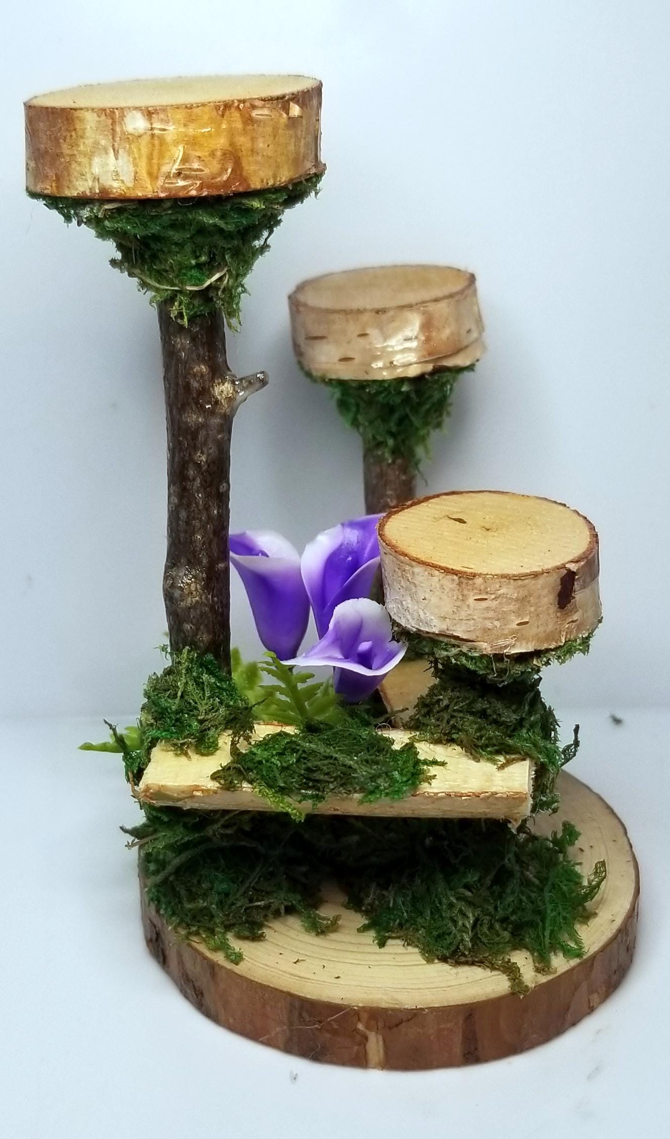 Jumping Spider Enclosure Decor - Etsy