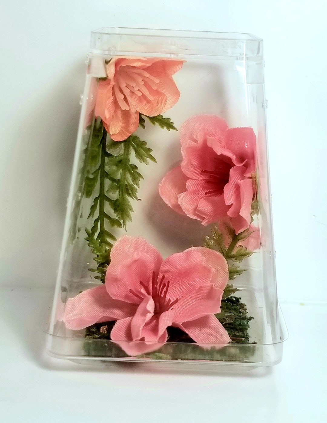 Jumping Spider Sling Enclosure - Etsy