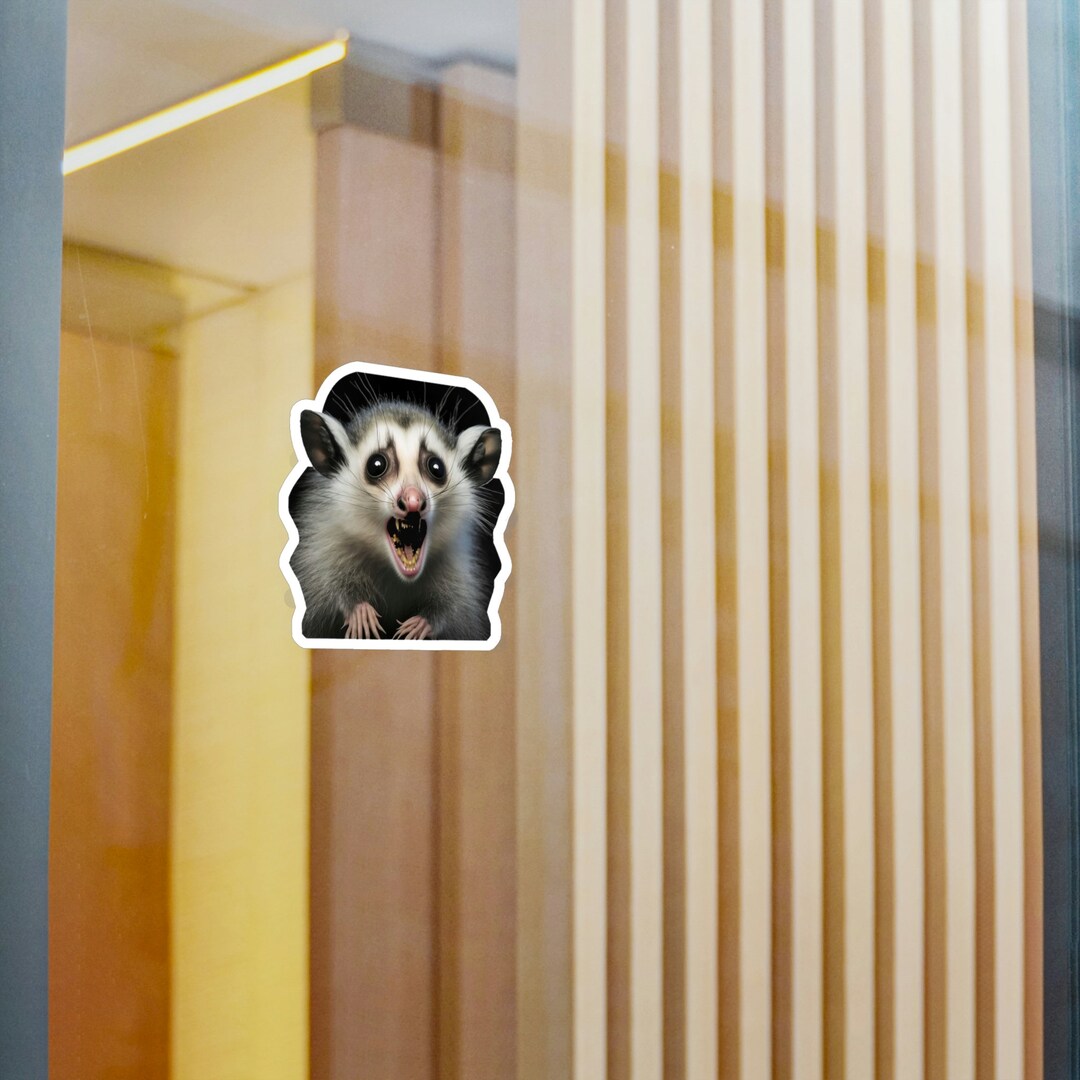 Possum Sticker, Crazy Possum Sticker, Scared Possum Sticker, Surprised ...