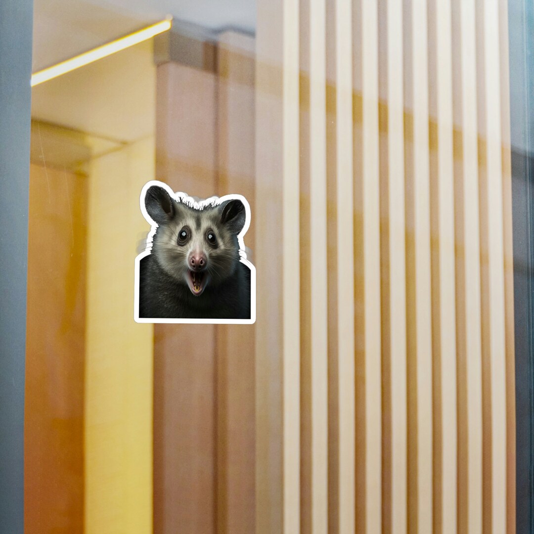 Possum Sticker Crazy Possum Sticker Scared Possum Sticker - Etsy
