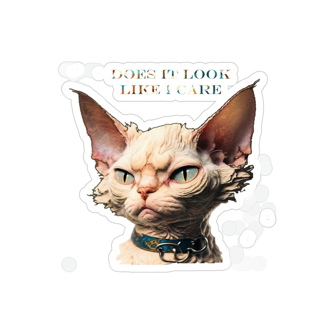Funny Cat Sticker, Does It Look Like I Care, Cat Drama, Ugly Cat ...