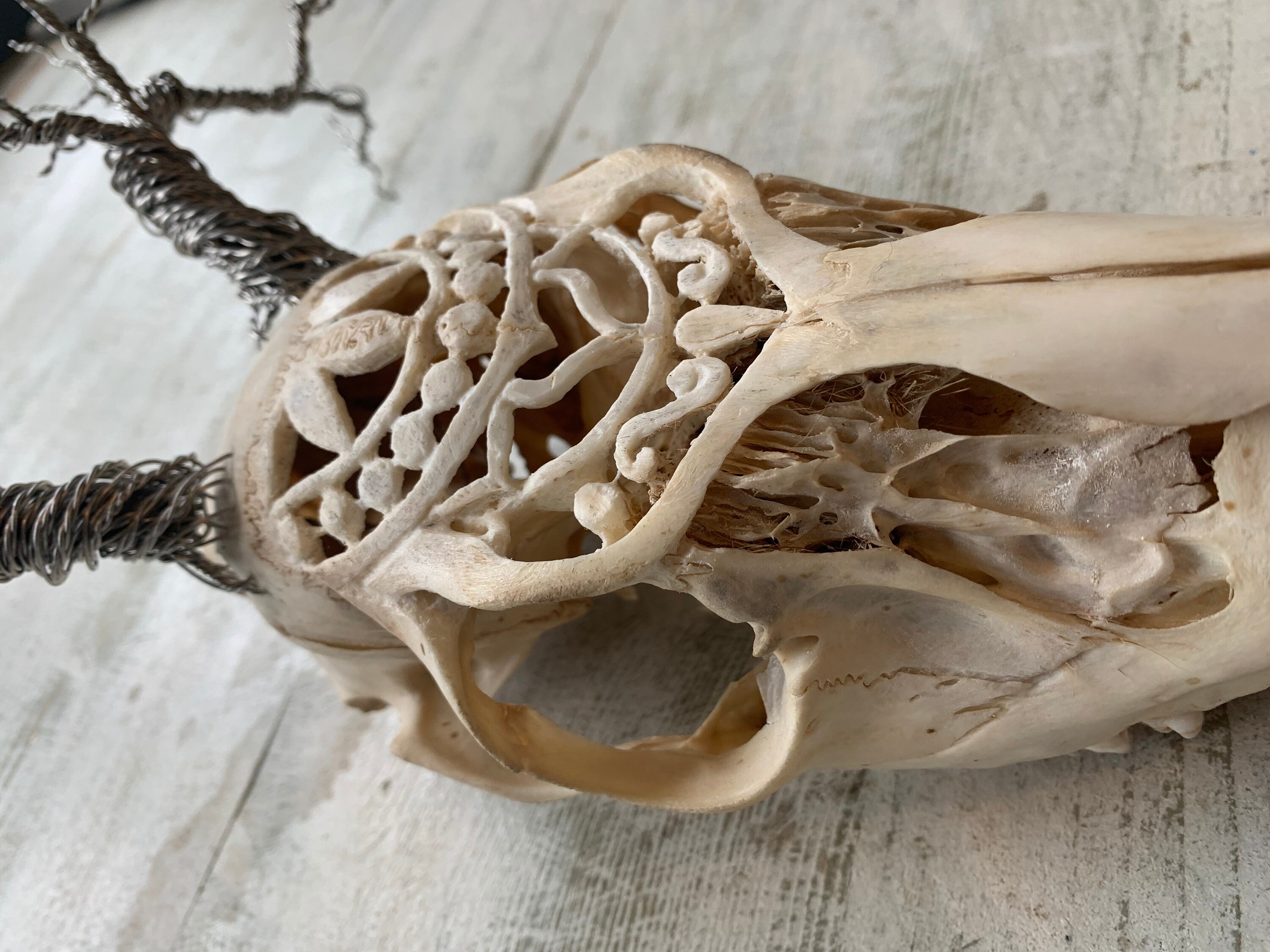 Carved Skull With Decorative Wire Tree Antlers Handmade Deer Skull ...