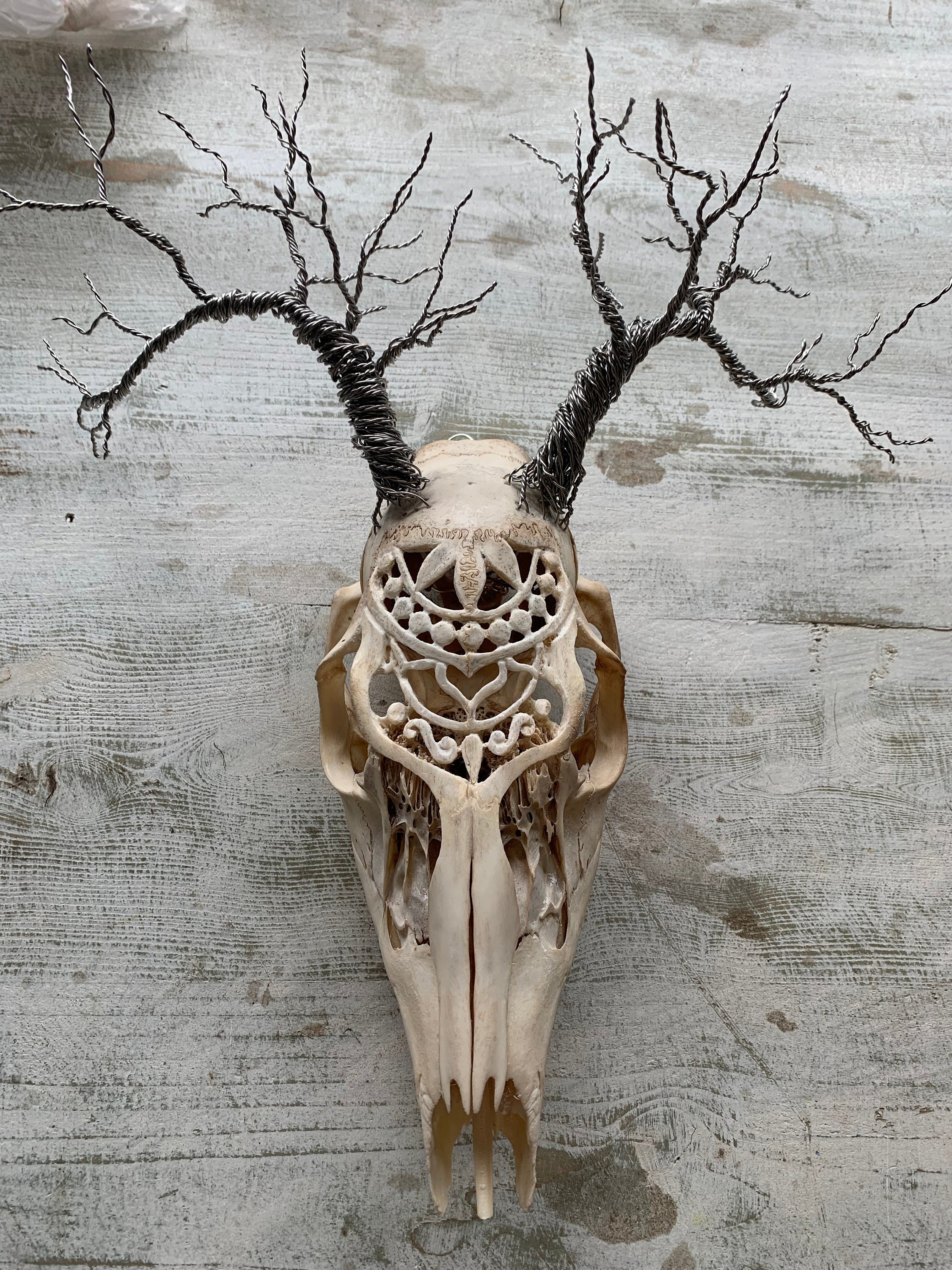 Carved Skull With Decorative Wire Tree Antlers Handmade Deer Skull ...