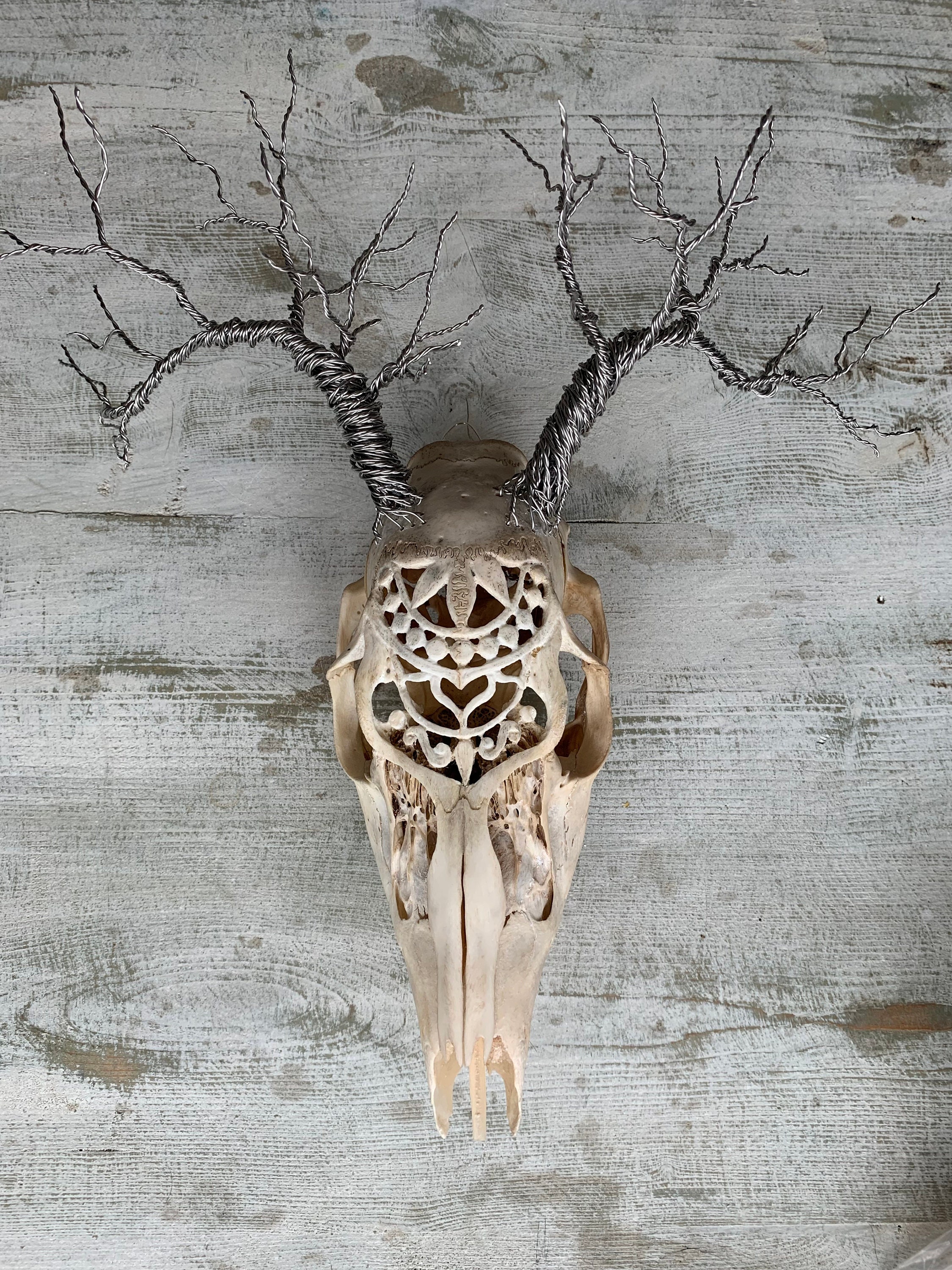 Carved Skull With Decorative Wire Tree Antlers Handmade Deer Skull ...