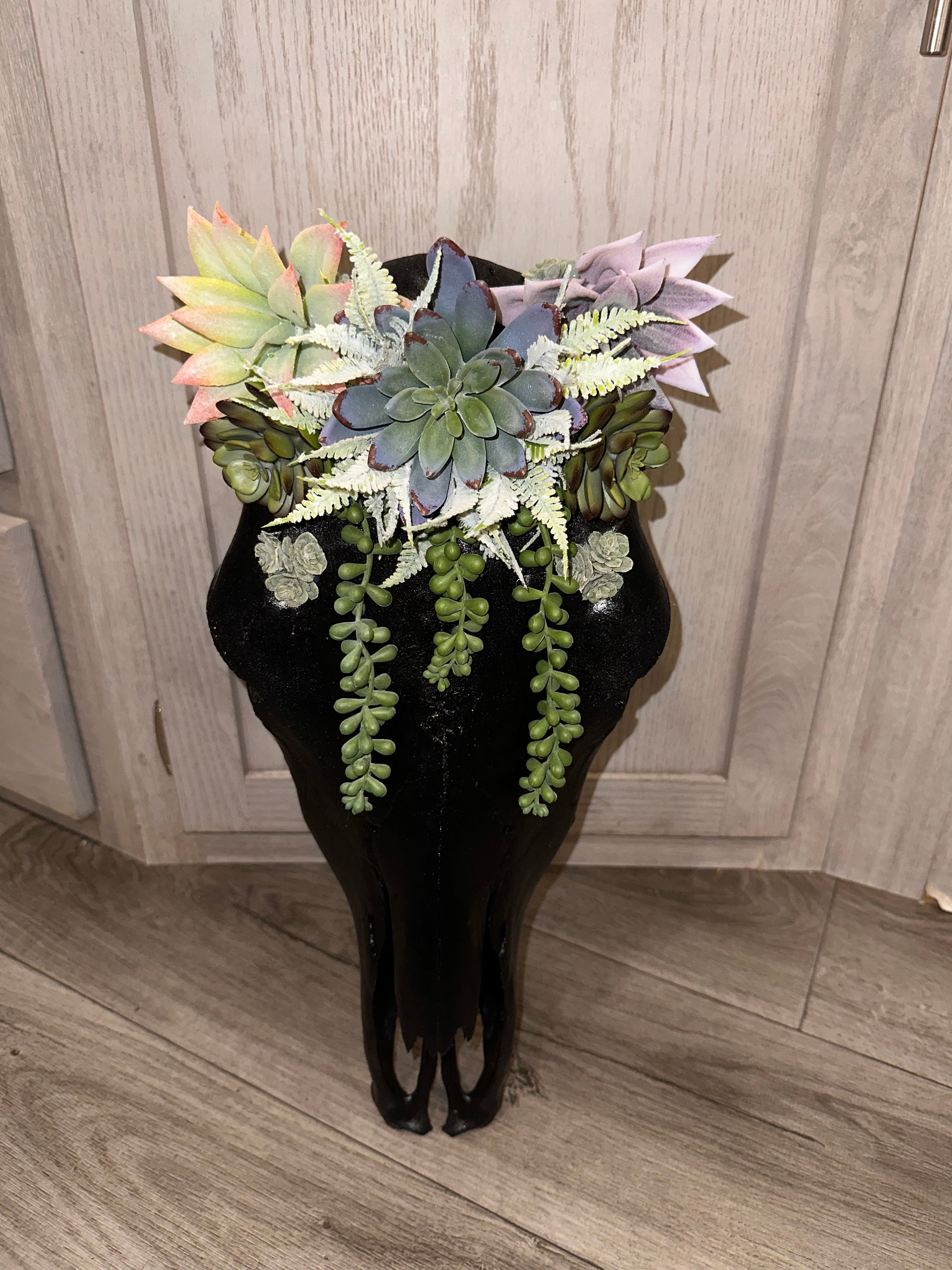 Decorated Cow Skull - Etsy