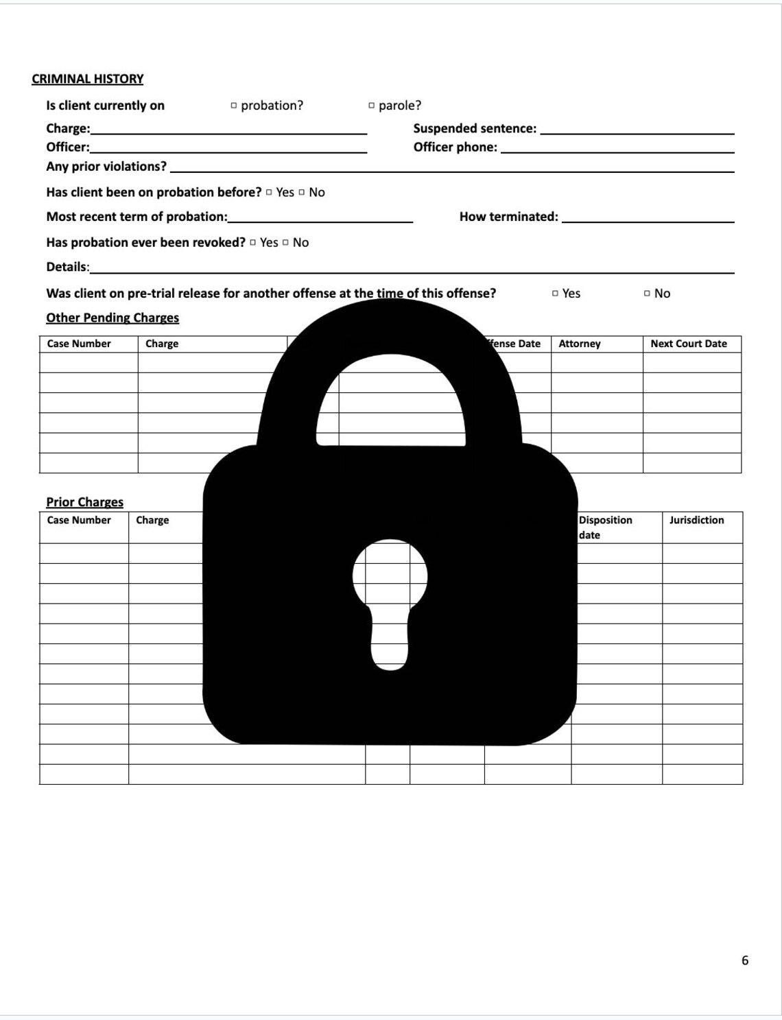 Criminal Law Firm Client Intake Form | Client Intake Form for Criminal ...