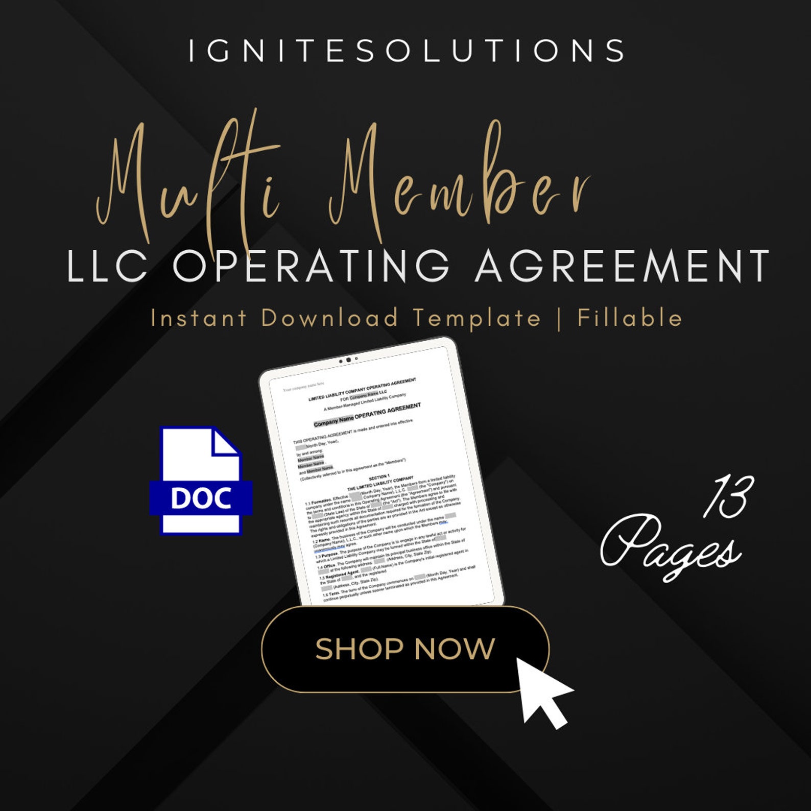 Fillable Multi Member LLC Operating Agreement Template | 13 PAGES ...