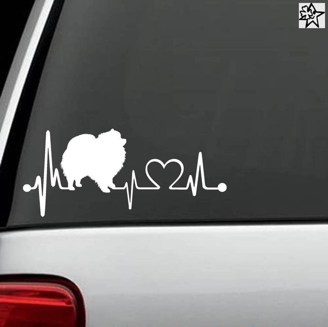 Pomeranian Sticker, Sticker, Decal, Car Sticker, Pegatina Promotion - Etsy