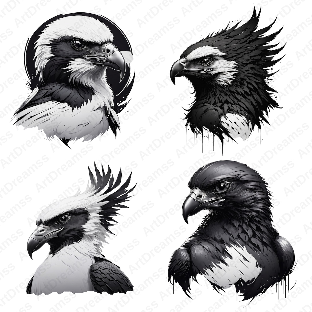 Black Falcon Clipart PNG, Falcon Bundle, Falcon Graphic Design, Falcon ...