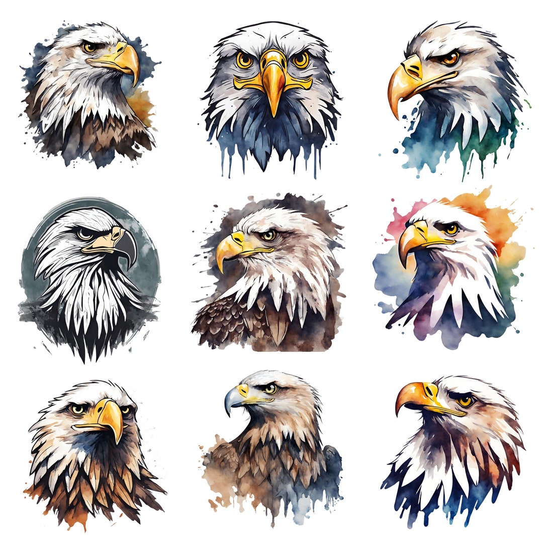 Eagle Clipart PNG, Bald Eagle, Watercolor Eagle, Eagle Bundle, Eagle ...