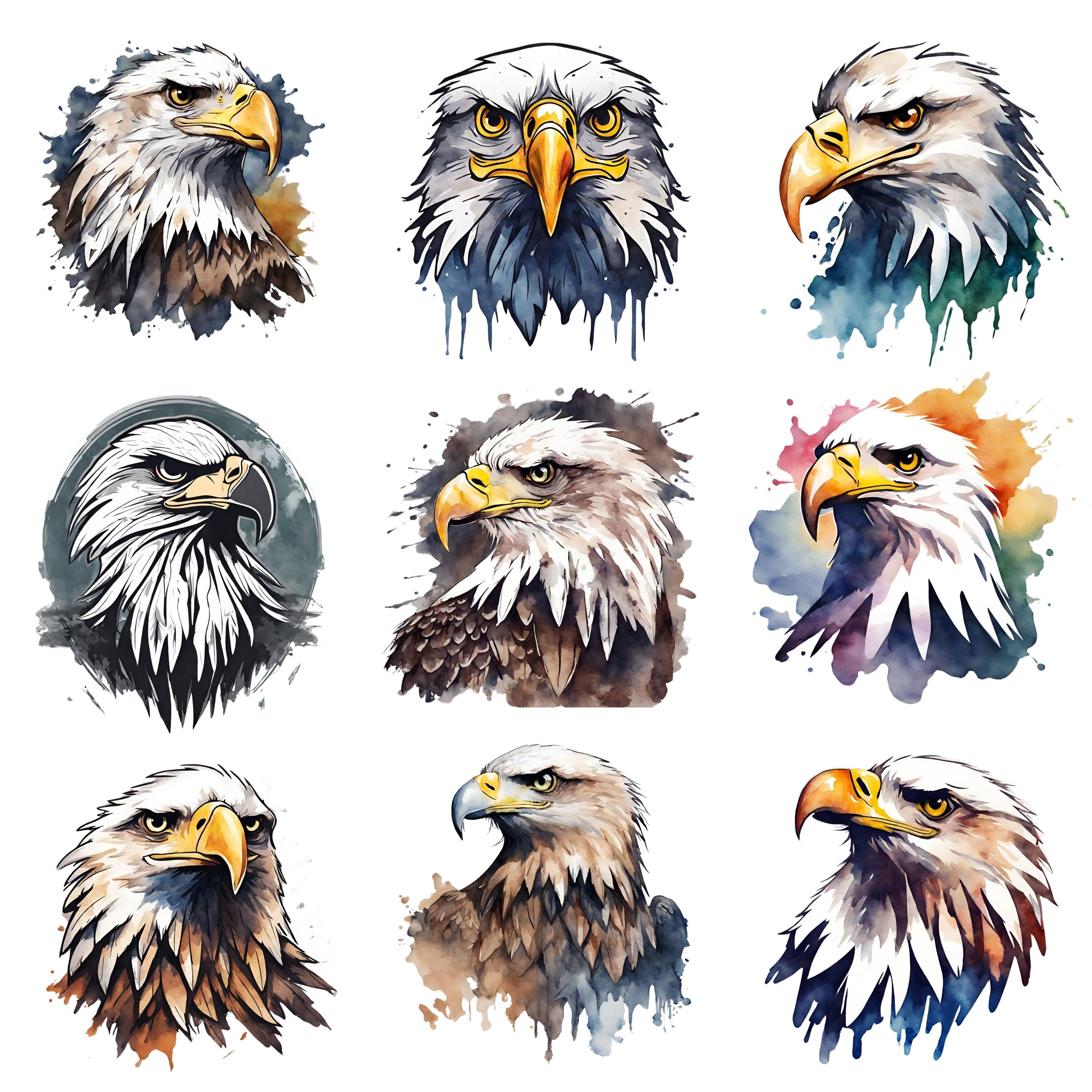 Eagle Clipart PNG, Bald Eagle, Watercolor Eagle, Eagle Bundle, Eagle ...