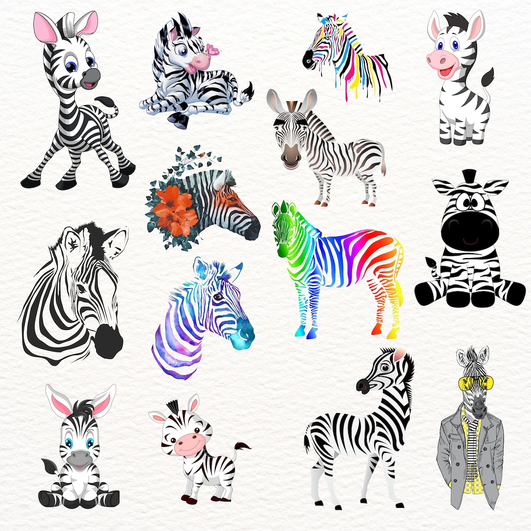Zebra Bundle PNG, Zebra Clipart, Colorful Zebra - Etsy