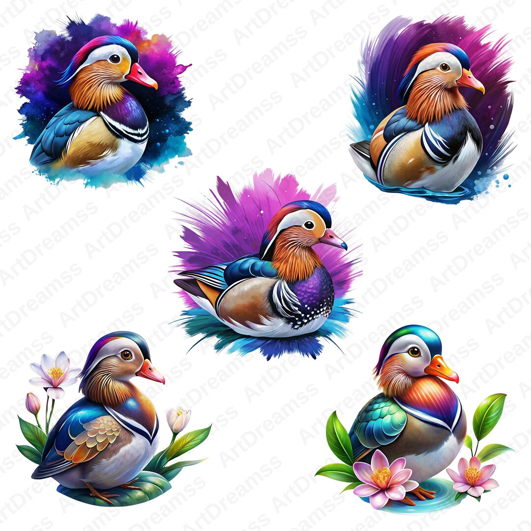 Mandarin Duck Clipart, Mandarin PNG, Cute Duck, Duck Bundle, Mandarin ...