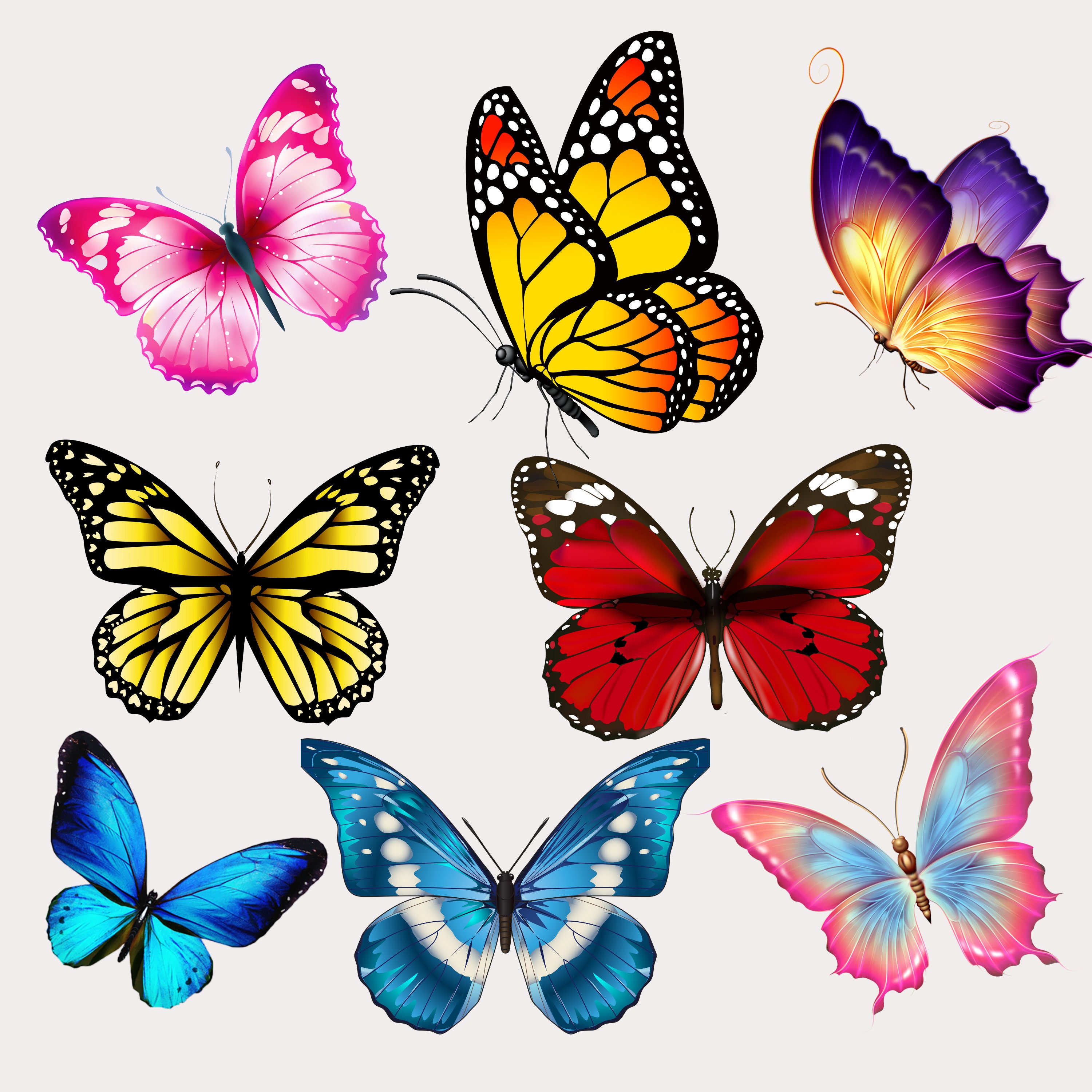 Butterfly Clipart PNG, Butterfly Bundle, Butterfly Transparent, High ...