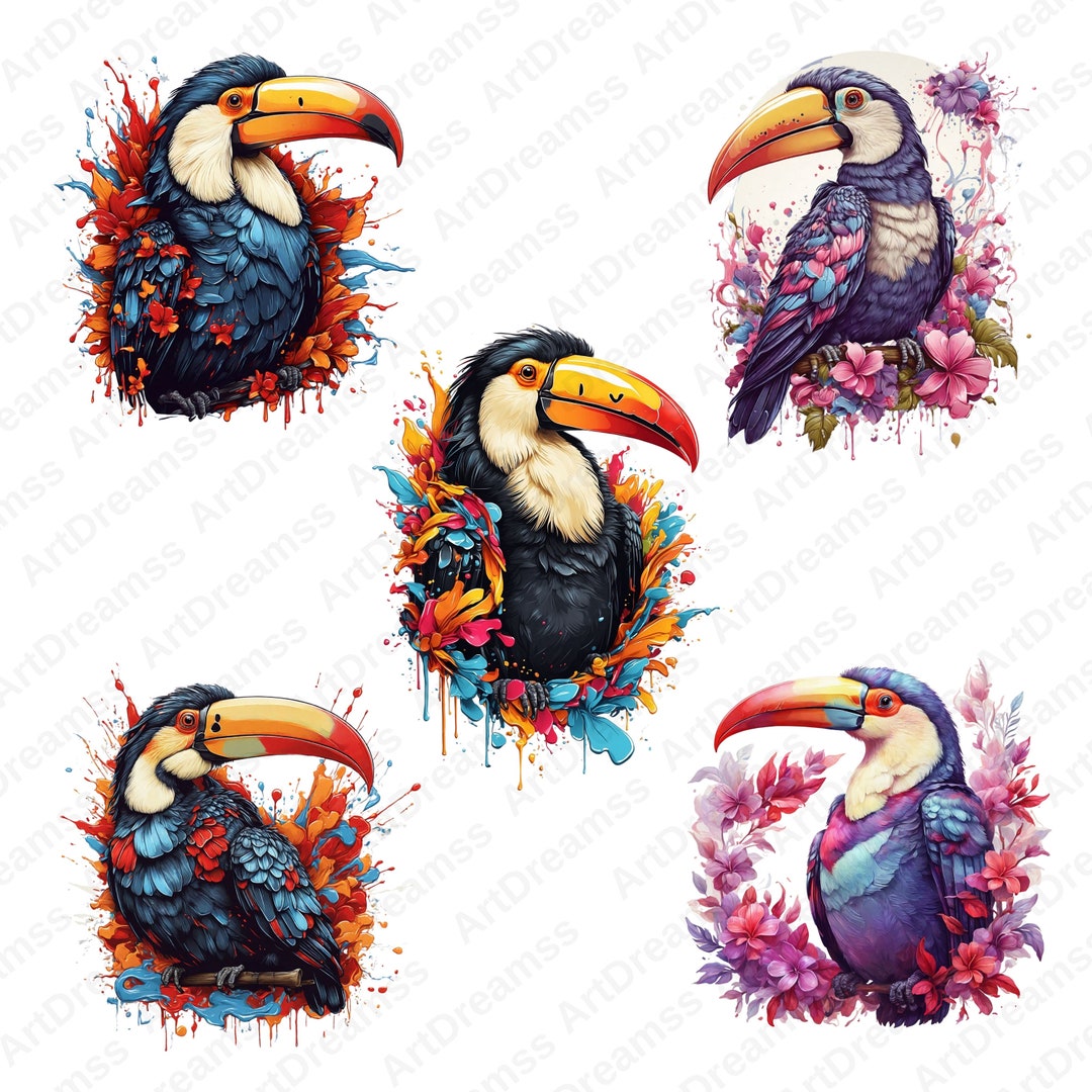 Toucan Clipart PNG, Toucan Floral, Toucan Bird Bundle, Toucan Art, Bird ...