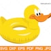 Rubber Ducky Pool Toy SVG Cricut & Silhouette Cut Files. Duck Pool ...