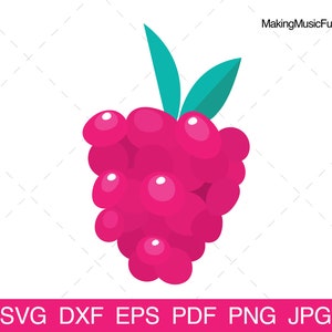Raspberry SVG Cricut & Silhouette Cut Files. Raspberry Clip Art ...