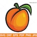 Apricot SVG Cricut & Silhouette Cut Files. Apricot W/outline Clip Art ...