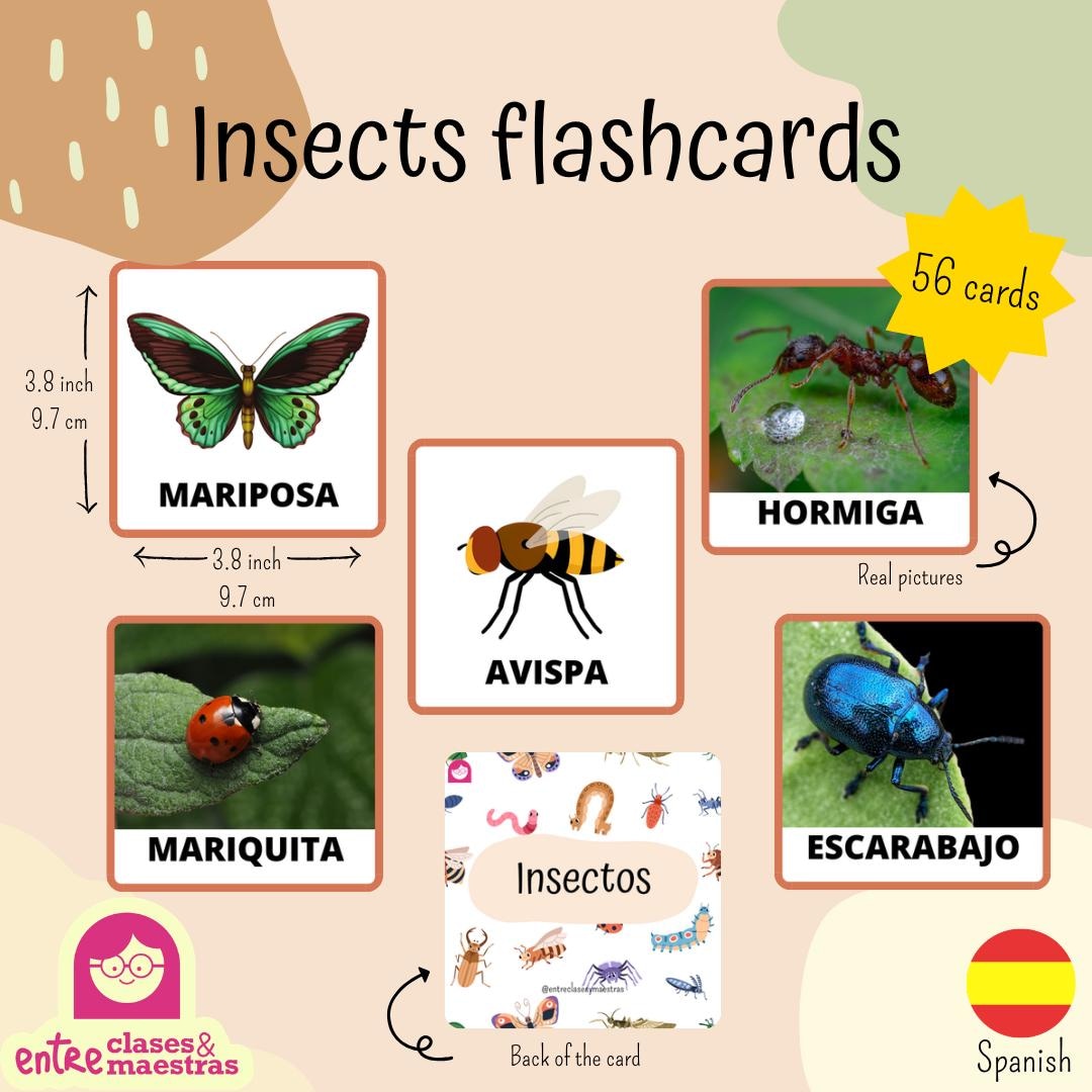 Insect Flashcards Spanish Printable PDF | Bilingual Bug Cards for Kids ...