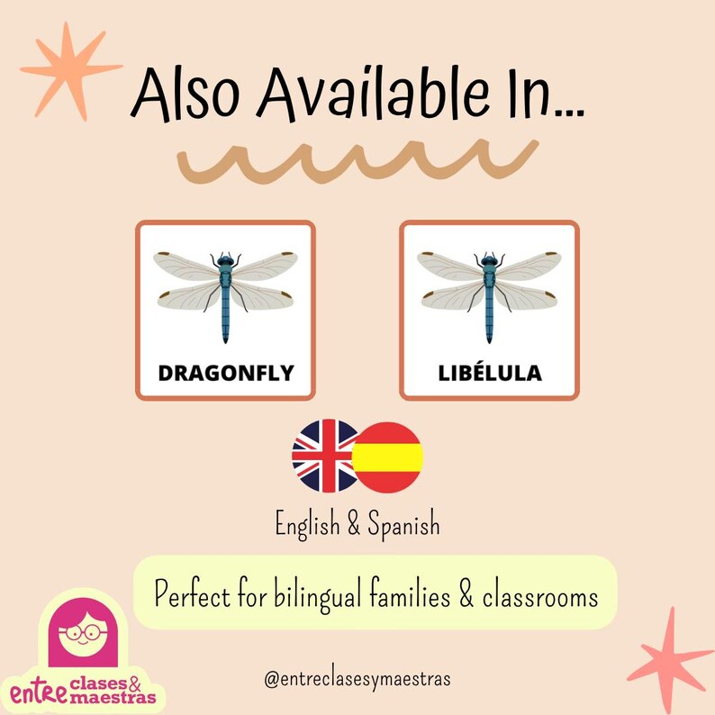 Insect Flashcards Printable PDF | Bug Vocabulary Cards for Kids ...