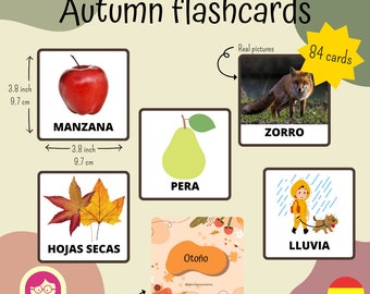 Printable Flashcards of the Autumn, Educational Flashcards, Learning ...