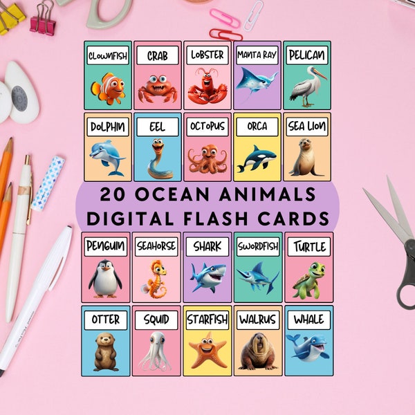 Animal Flash Cards - Etsy