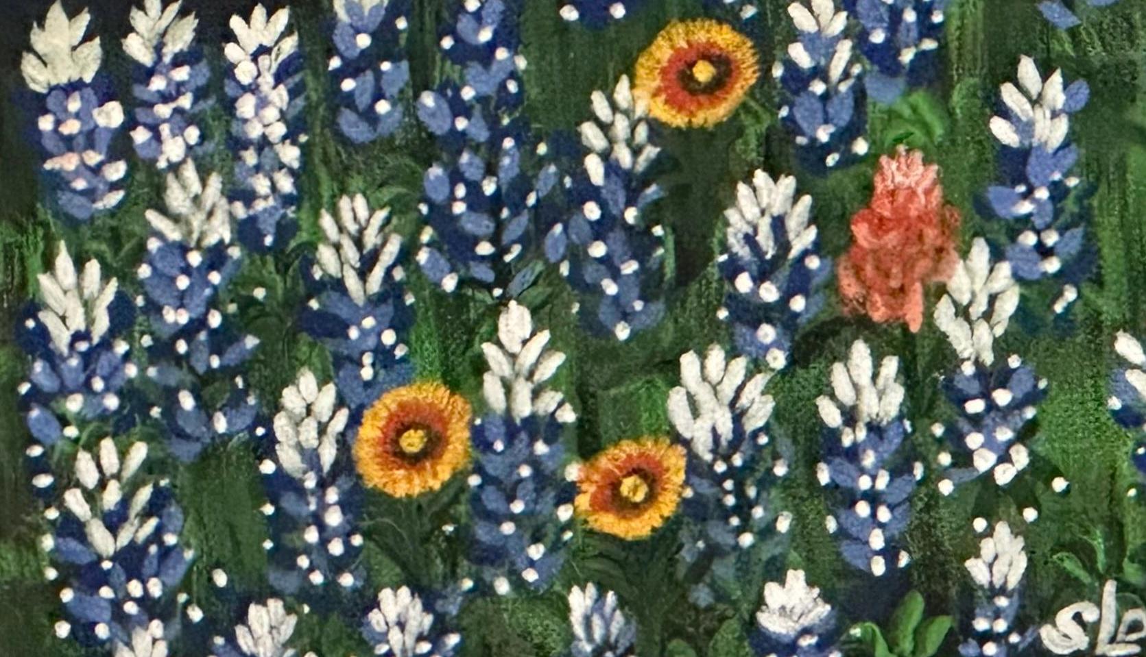 Old Barn Displays Aged Texas Flag Surrounded by Field of Bluebonnets ...