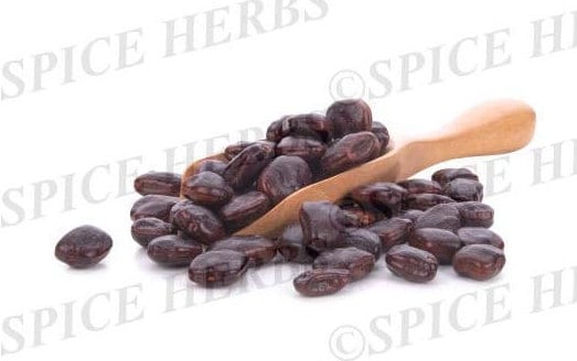 Tamarind Seeds | Tamarindus Indica Seed | Imli | Imli Beej | Wild ...