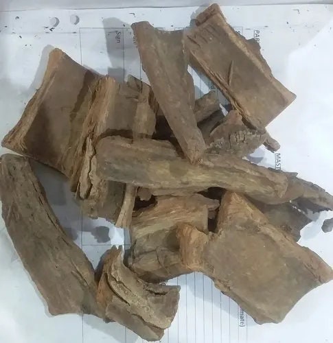 Rohitak Chal and Powder | Rakt Rohira Powder | Rohira Chaal - Etsy