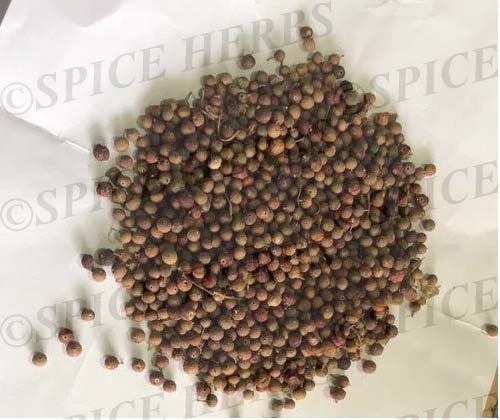 Vaividang | Vaivadang Powder | Vaivadang Black | Embelia Ribes Herbs ...