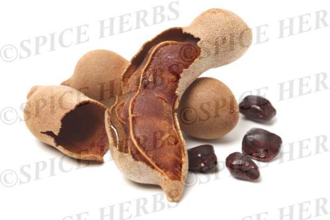 Tamarind Seeds | Tamarindus Indica Seed | Imli | Imli Beej | Wild ...