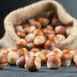 Hazelnuts | Hazelnut Seeds | Northern Cultivar Hazelnut Seeds | Corylus ...