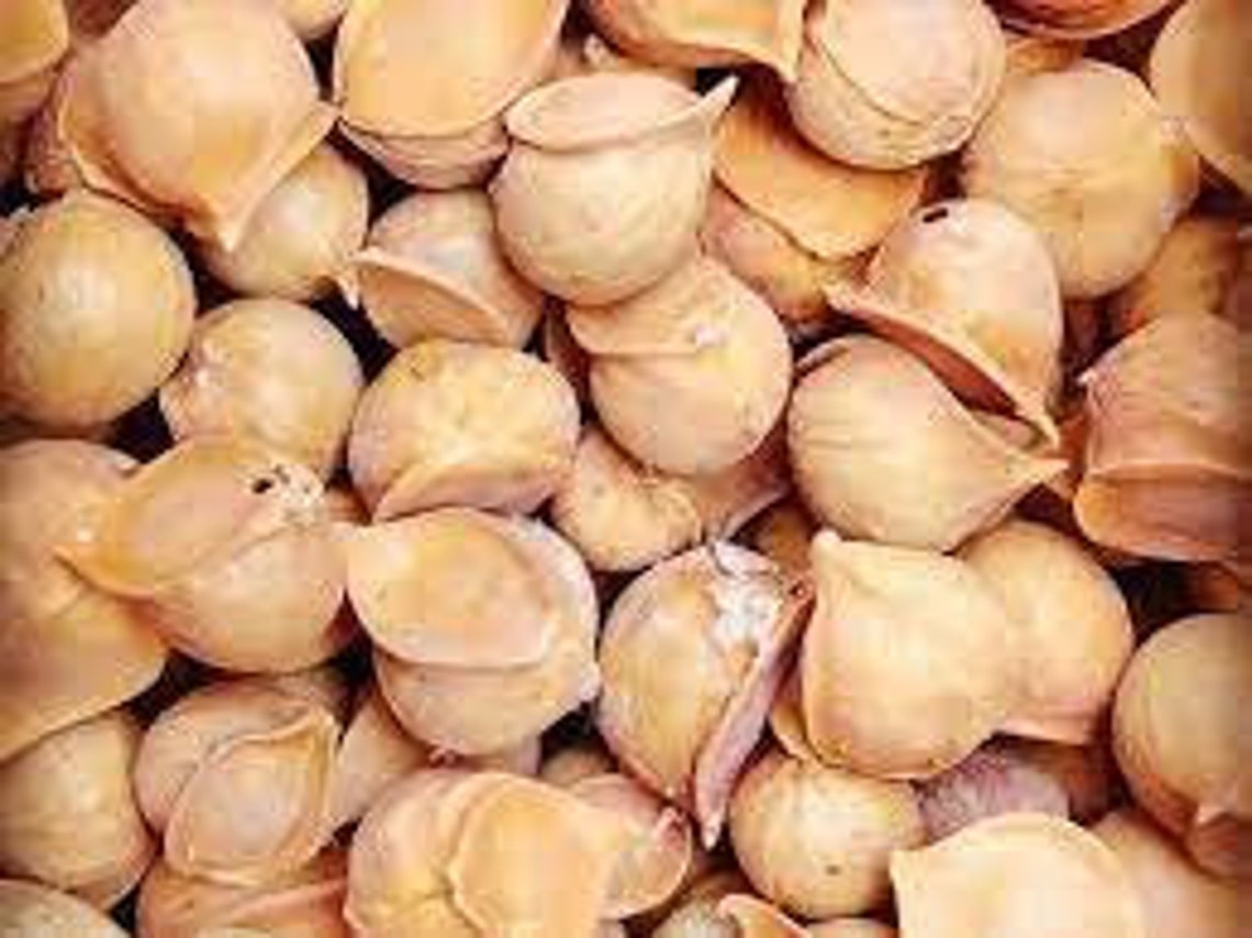Pahadi Lahsun | Himalayan Lahsun | Kashmiri Garlic | Kashnaturalmir ...