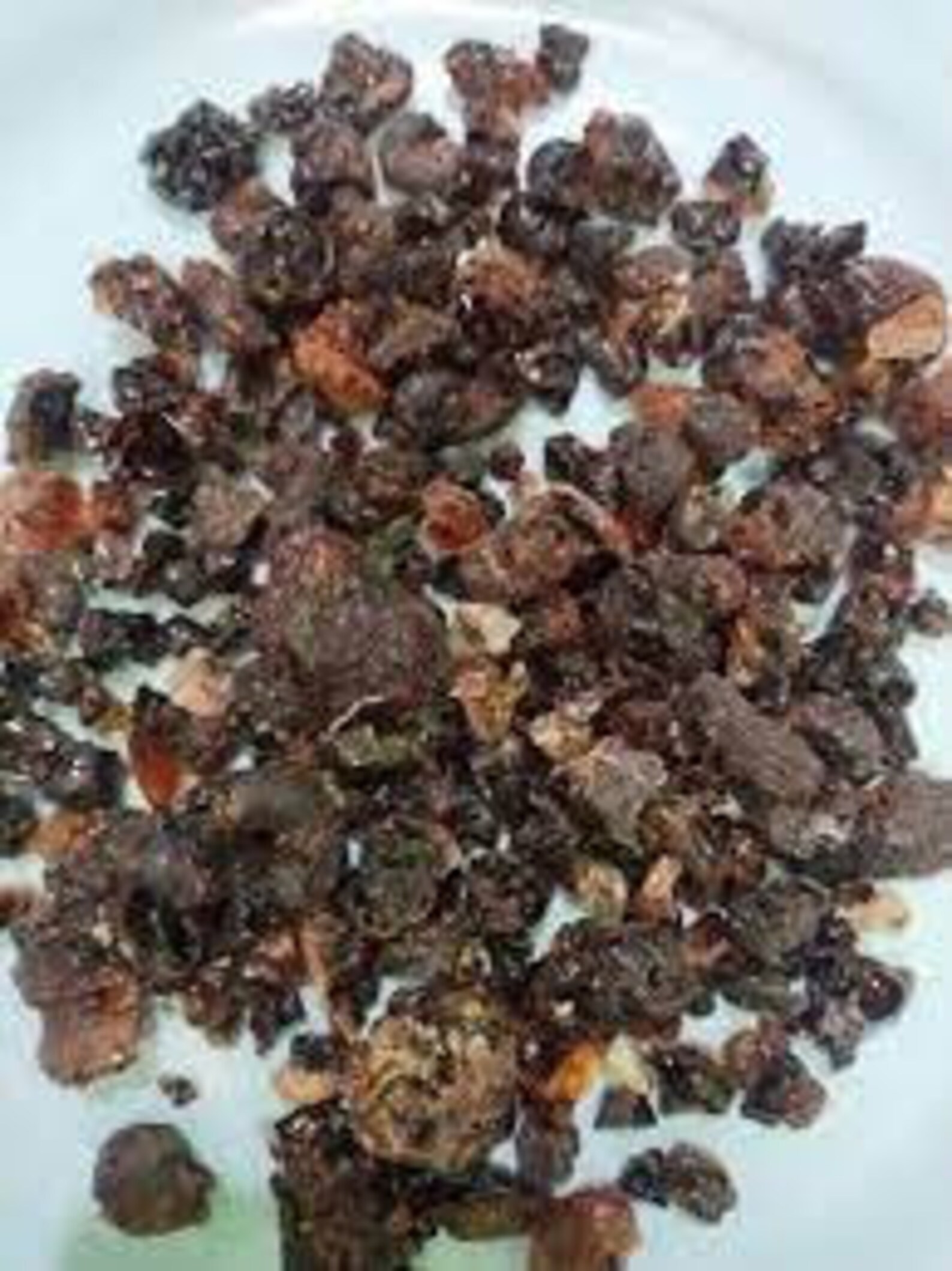 Asli Gond gond Siyah Elwa Kala Gond Pura Sia Gond Siyah Pure Jadibooti ...